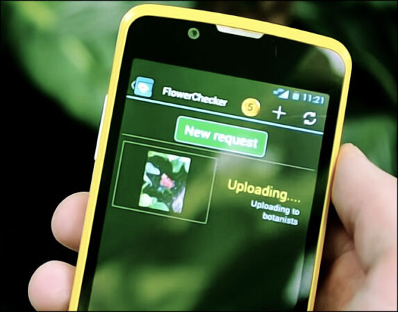 Quelle est la meilleure application de reconnaissance de plante